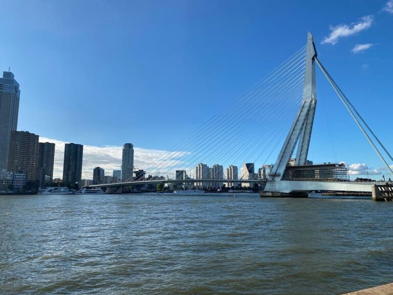 Cosa vedere a Rotterdam: due giorni tra architettura e canali • The ...